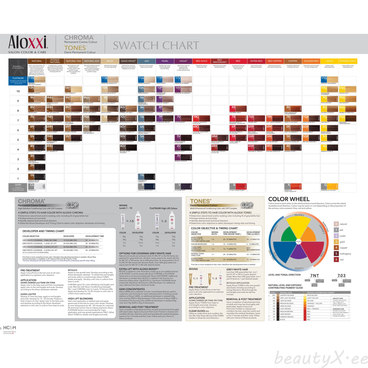 Aloxxi TONES HAIR COLOR 9AA WHISPER IN MILAN 2oz | BeautyX.ee